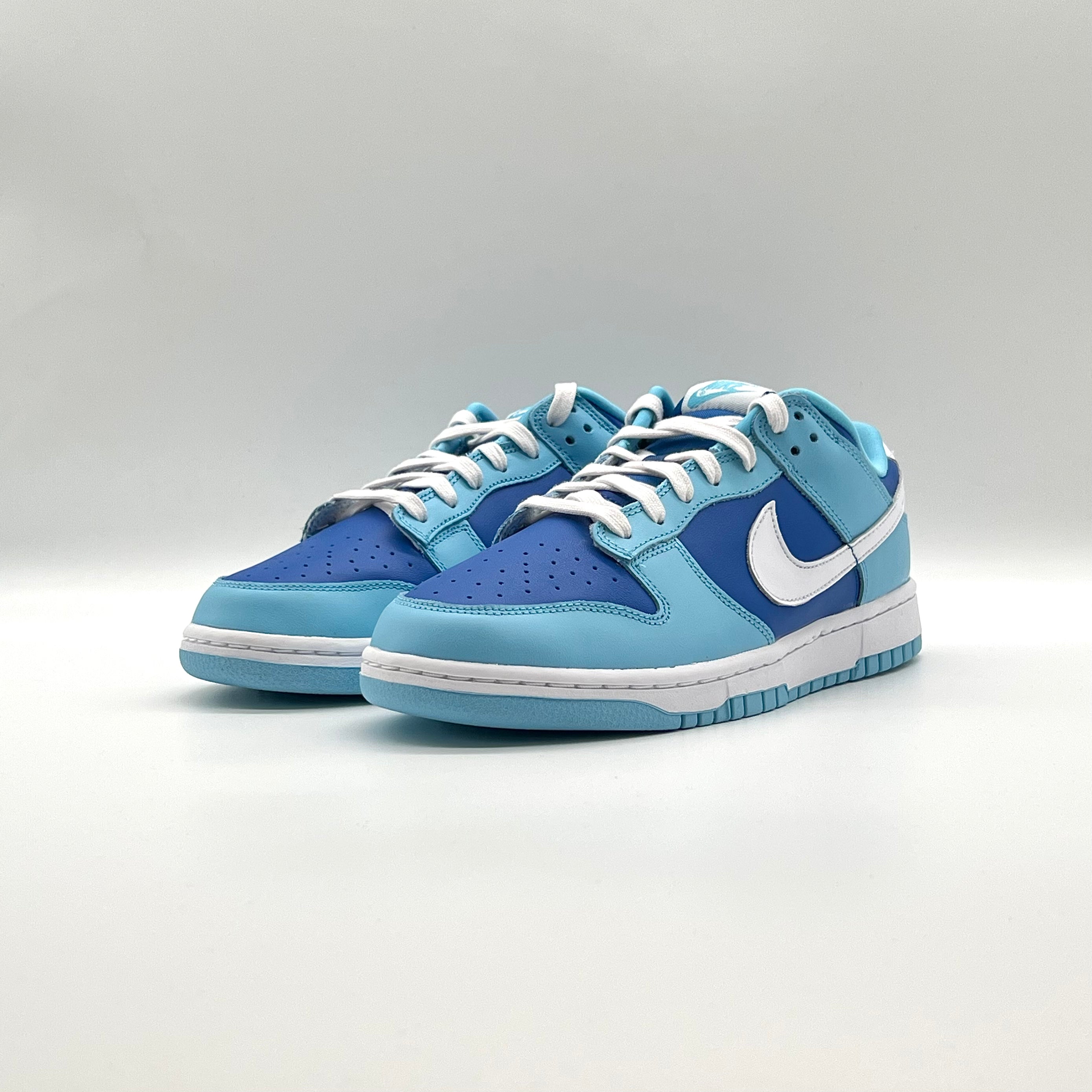 Nike Dunk Low Retro QS Argon (2022) – FABULOUS CONSIGNMENT STORE